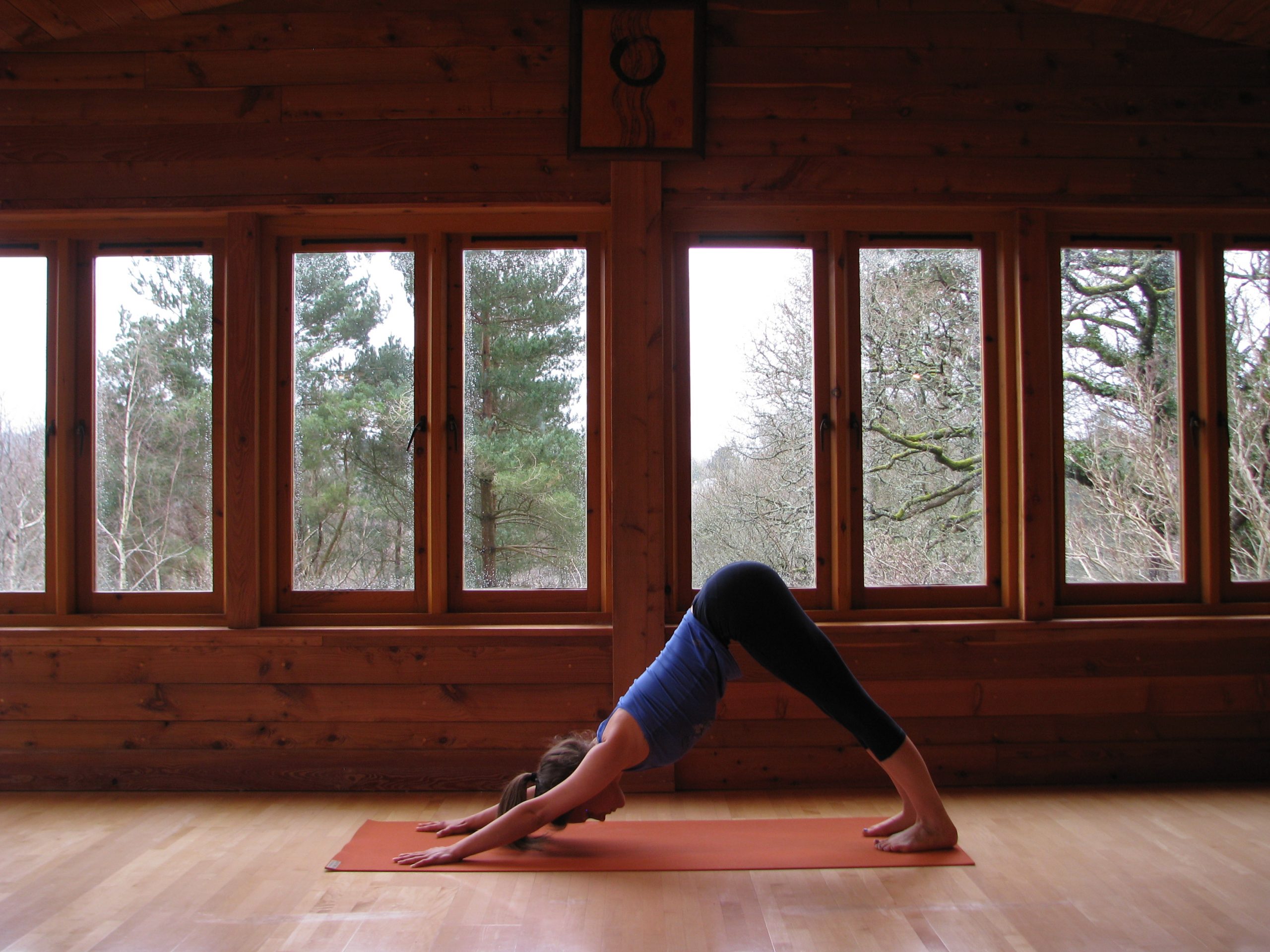 Isabelle Luterbacher - Iyengar Yoga UK