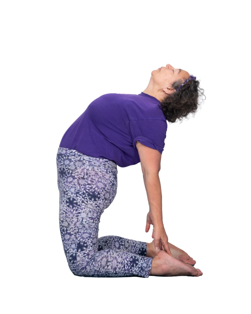 AH Yoga online or At Home Sunday - Iyengar Yoga UK