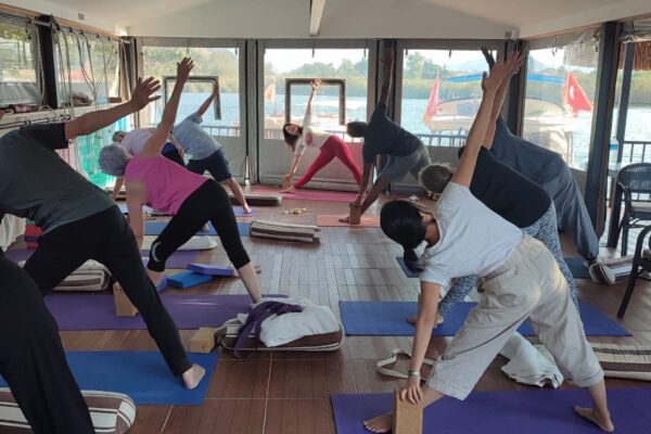 Teacher Events - Iyengar Yoga UK